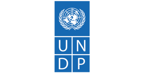 UNDP logo - JLI